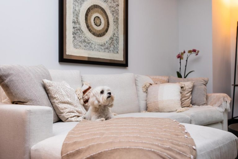 How Residents Use Spruce Cleaning Services